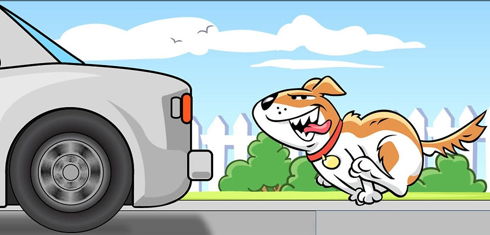 The Dog Caught the Car - PromiseUSA.org